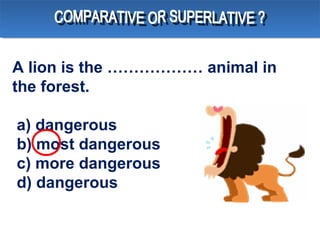 Comparative and superlatives + adj | PPT