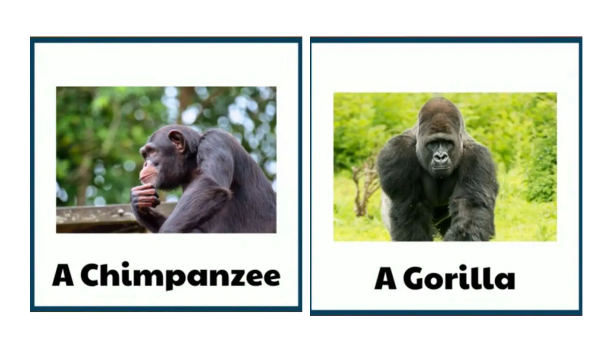 Comparative-Adjectives-PowerPoint-Lesson.pptx