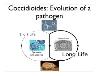 Comparative genomics of fung: studying adaptation through gene family ...