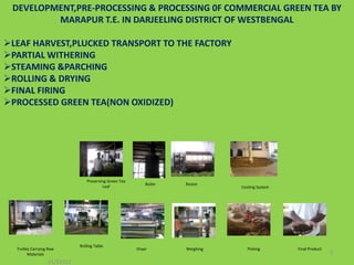 COMPARATIVE STUDY ON CONSUMPTION OF GREEN & BLACK TEA EXTRACT TO ...