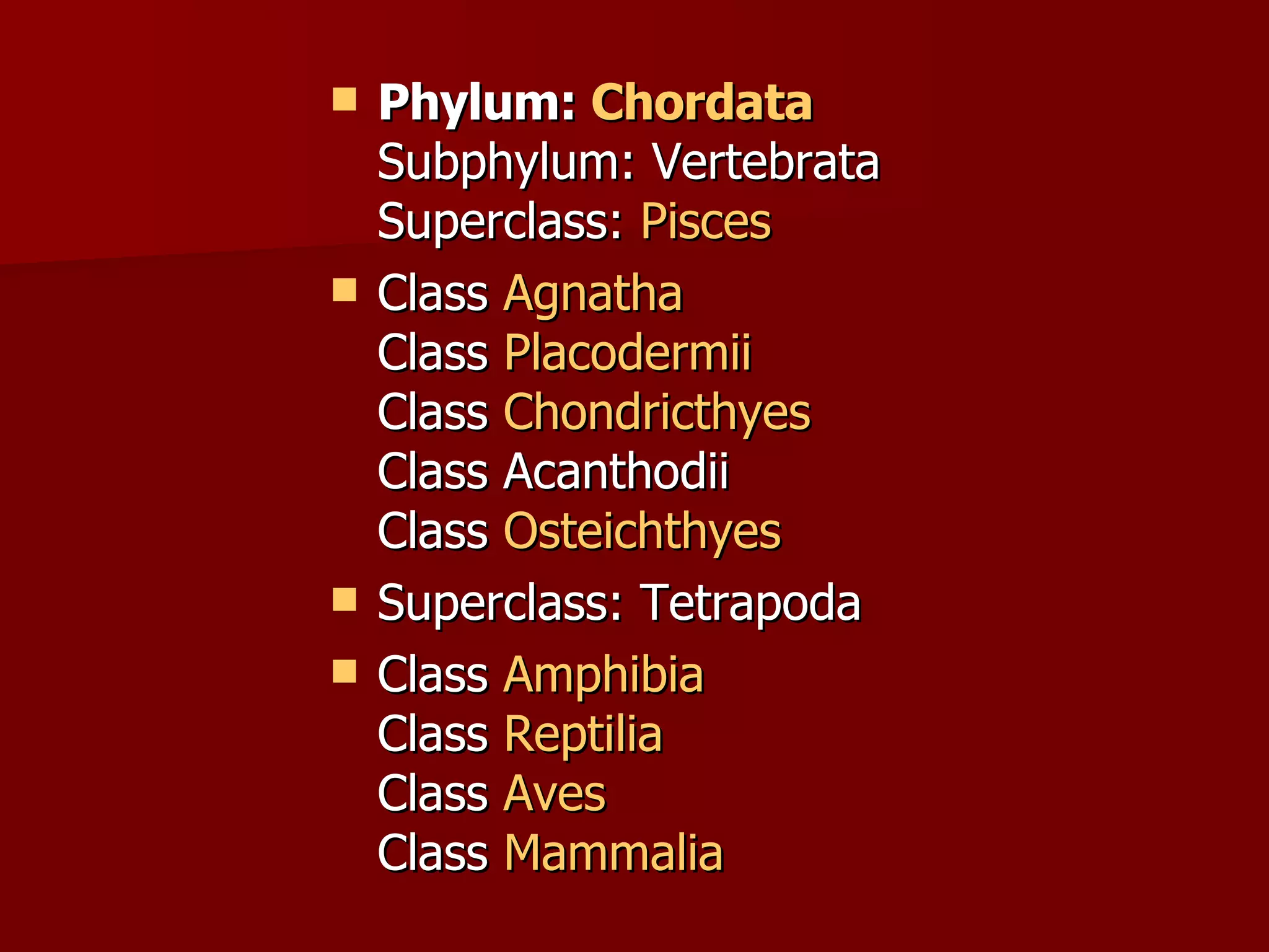 Comparative Vertebrate Anatomy | PPT