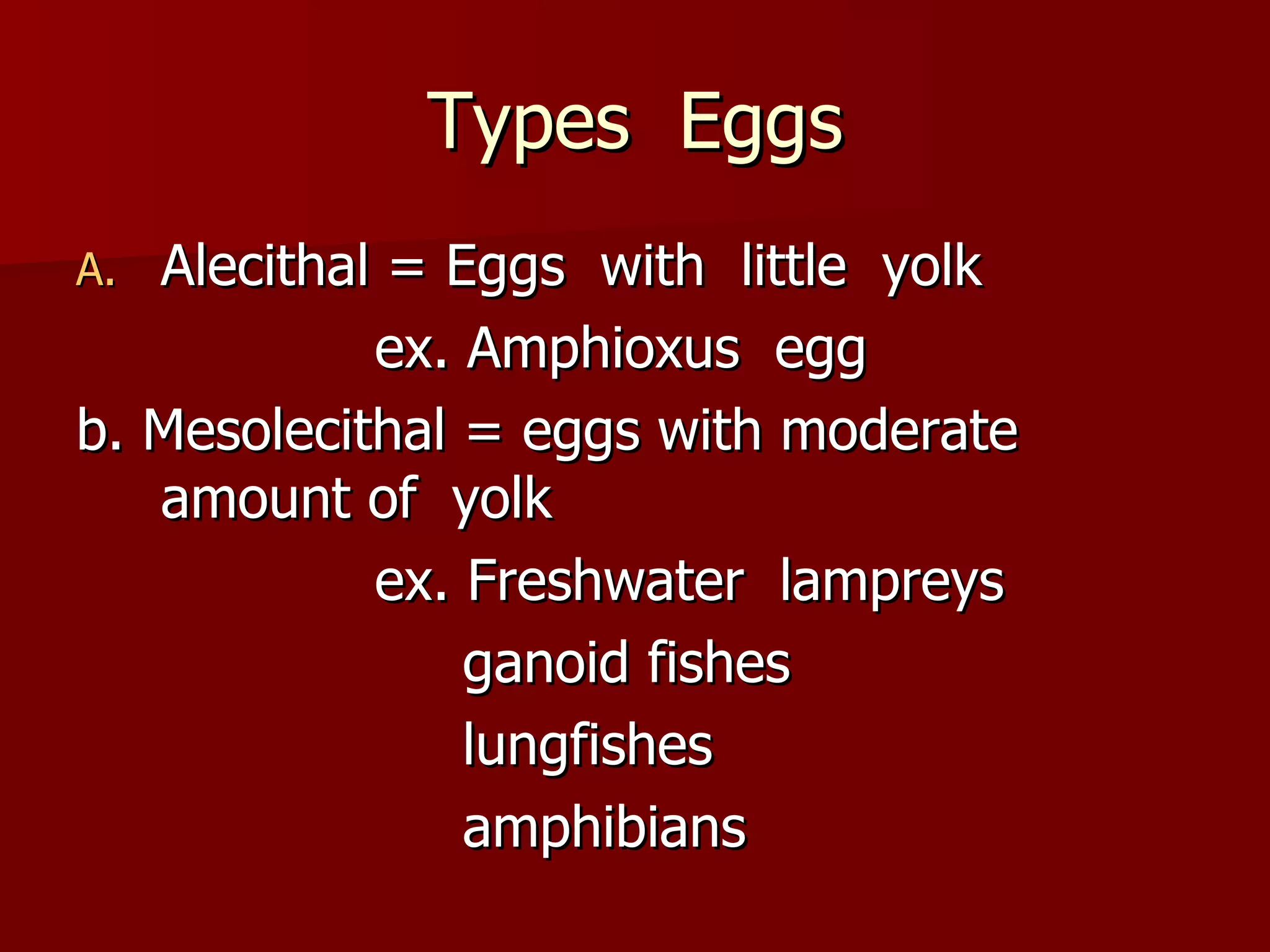 Comparative Vertebrate Anatomy | PPT