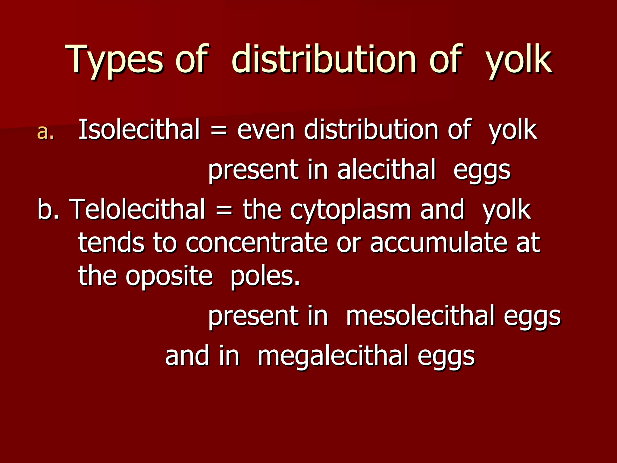 Comparative Vertebrate Anatomy | PPT