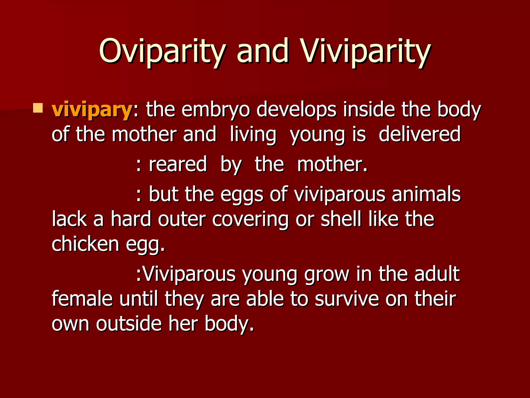 Comparative Vertebrate Anatomy | PPT