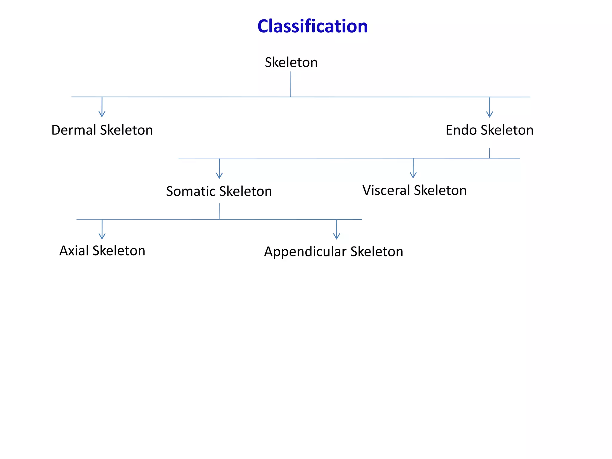 Comparative account of axial and appendicular skeleton of amniots | PPTX