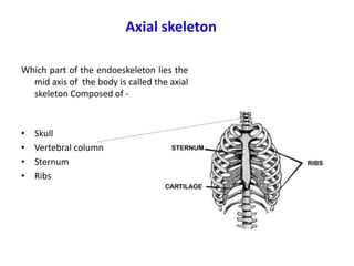 Comparative account of axial and appendicular skeleton of amniots | PPTX
