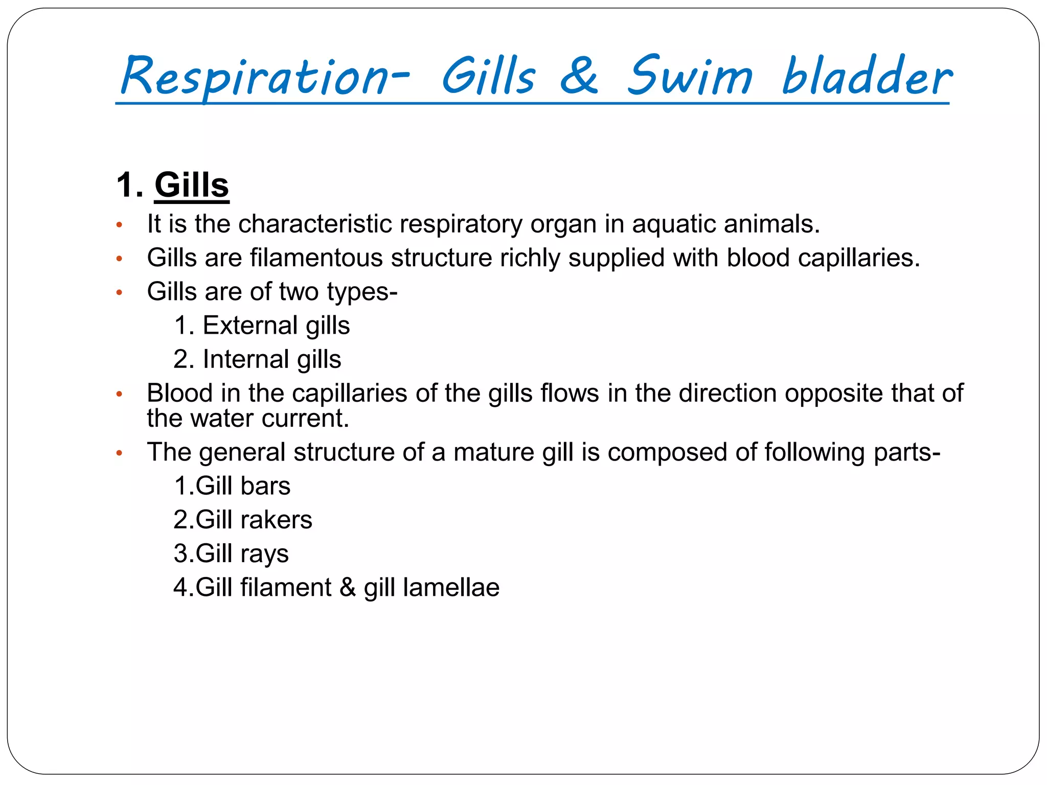 Comparative account of respiratory organs in vertebrates | PPTX