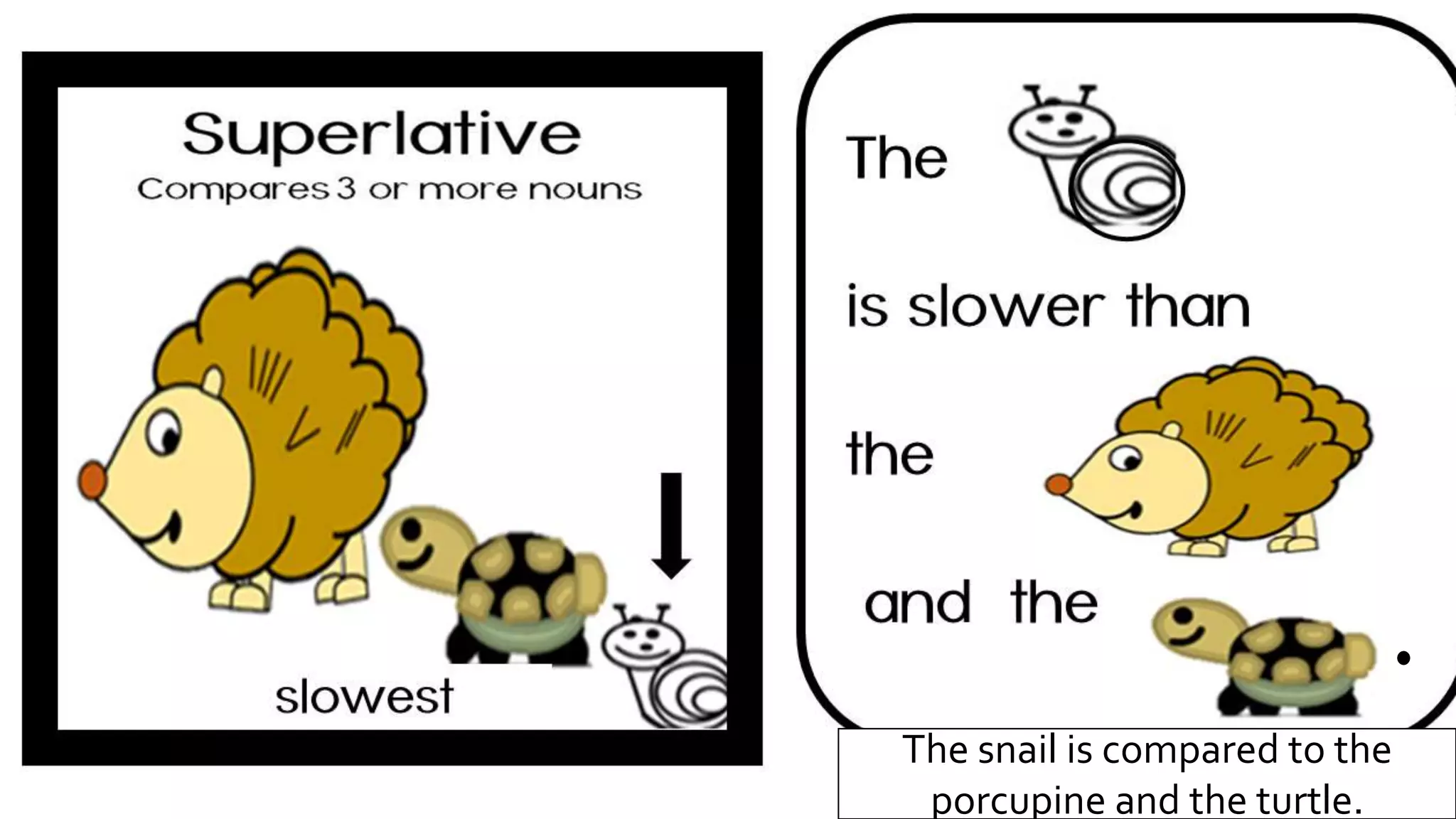 Comparative and Superalitive Adjectives: small spider, smaller spider ...