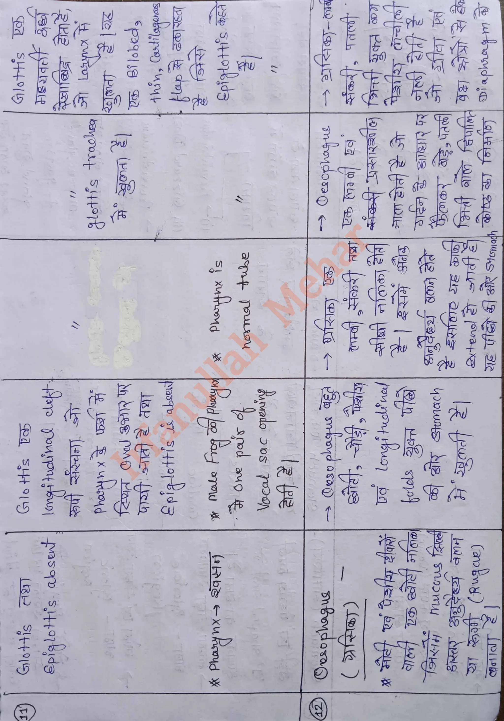 Comparative Alimentary Canal of Vertebrates.pdf