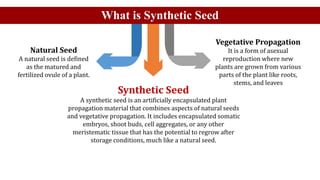 COMPARATIVE ANALYSIS OF DIFFERENT EXPLANTS FOR SYNTHETIC SEED ...