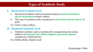 COMPARATIVE ANALYSIS OF DIFFERENT EXPLANTS FOR SYNTHETIC SEED ...