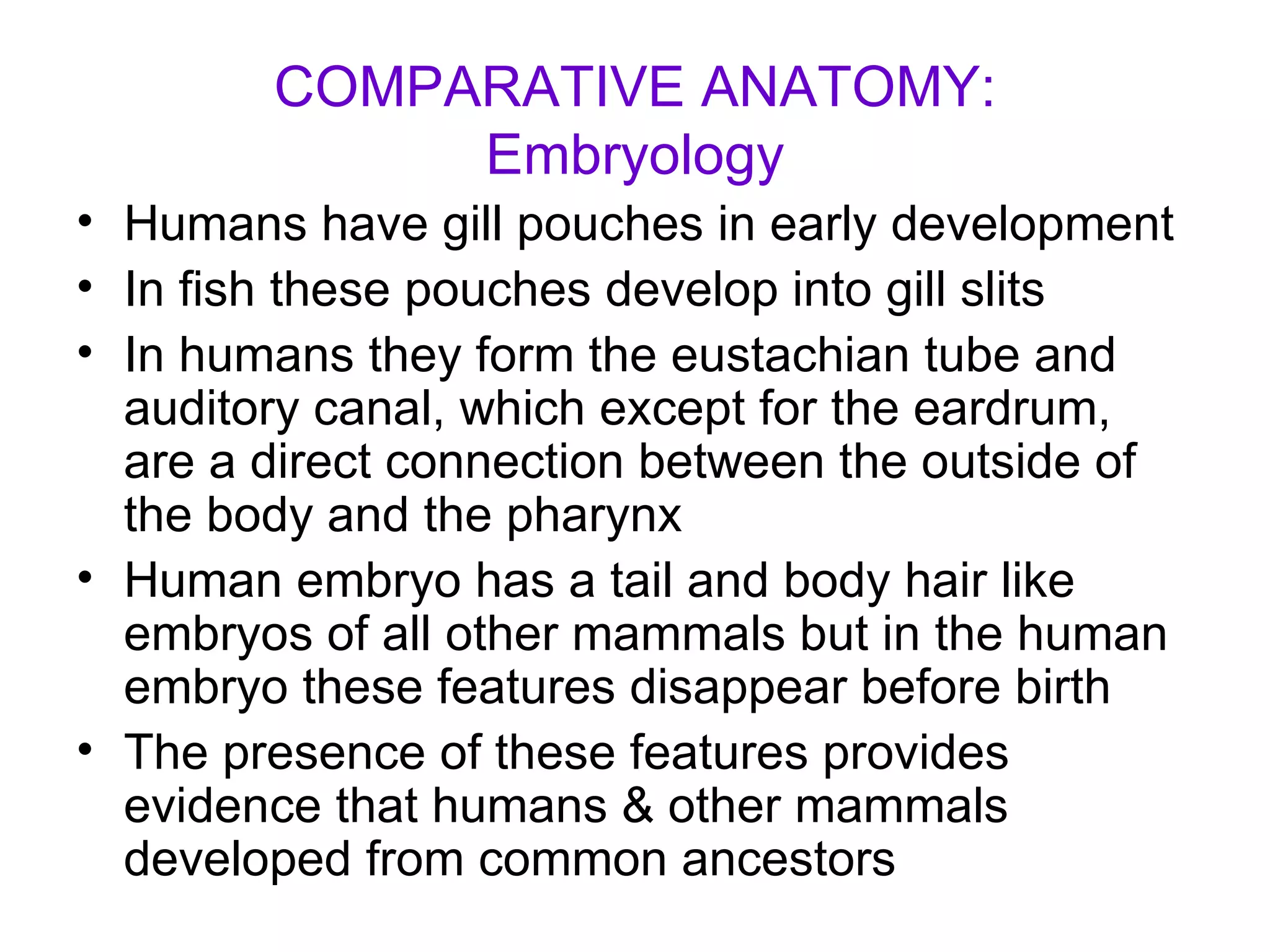 Comparative Anatomy | PPT