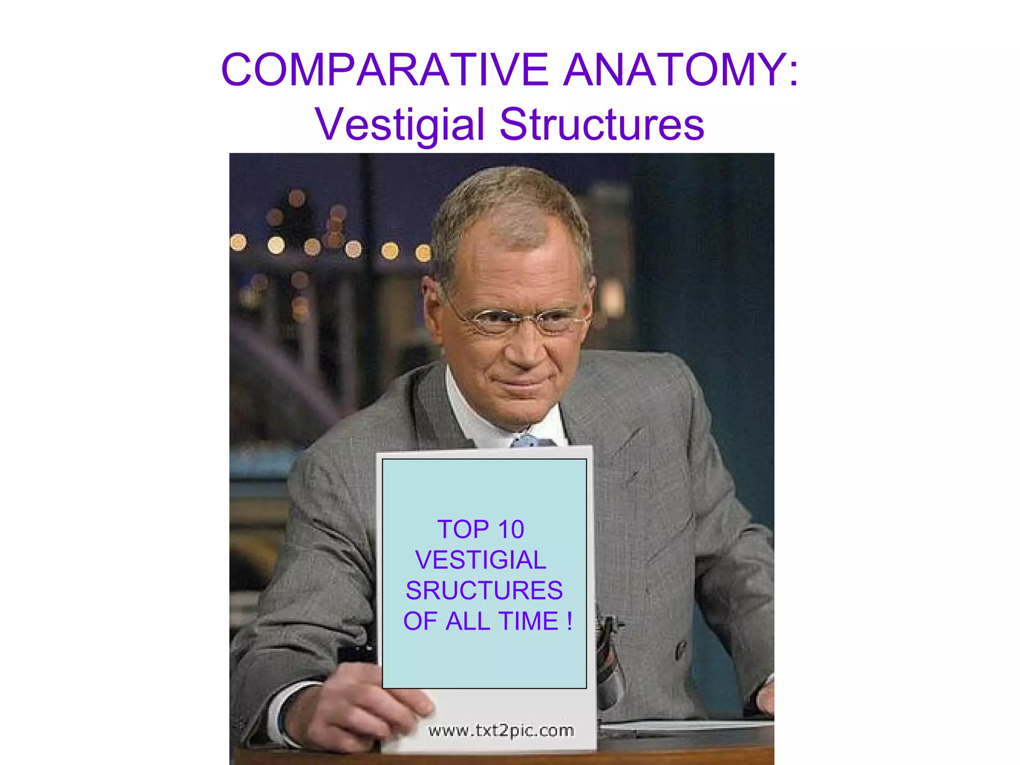 Comparative Anatomy | PPT