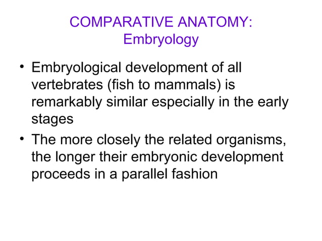 Comparative Anatomy | PPT | Dental Health | Diseases and Conditions