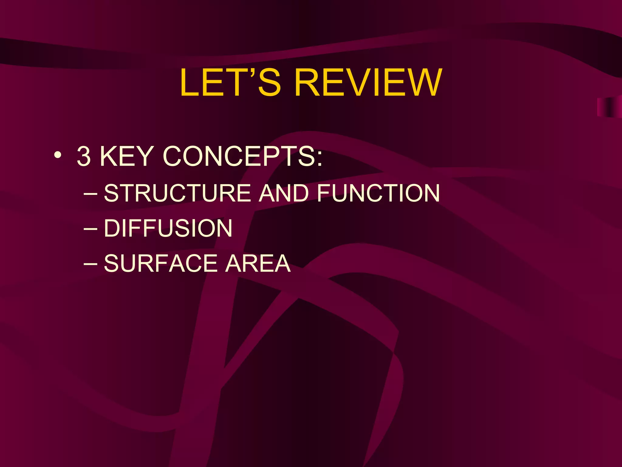 Comparative anatomy | PPT