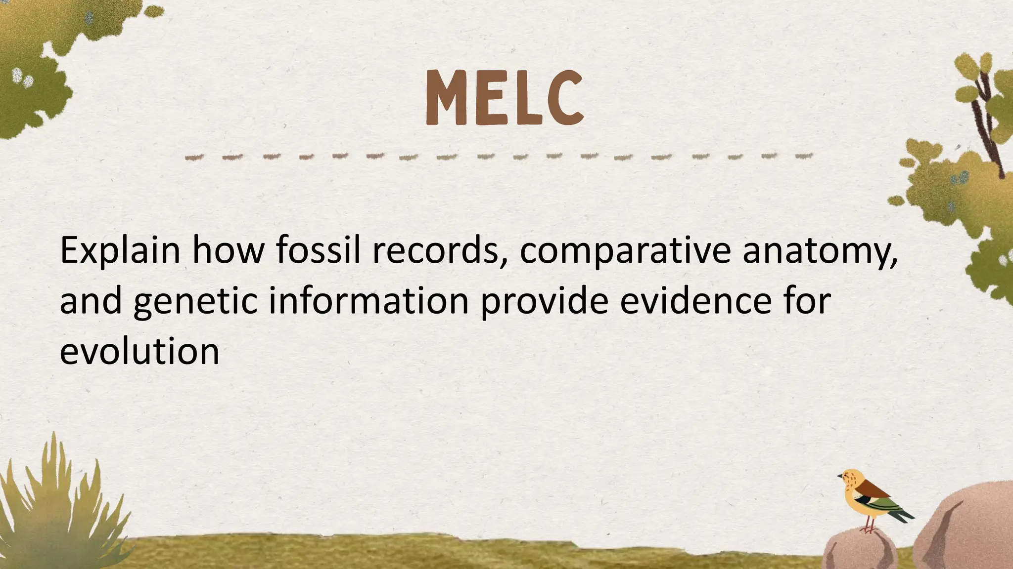 comparative anatomy under melcs in science.pptx | Biological Sciences ...