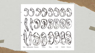 comparative anatomy under melcs in science.pptx | Biological Sciences ...