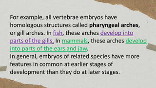 comparative anatomy under melcs in science.pptx | Biological Sciences ...