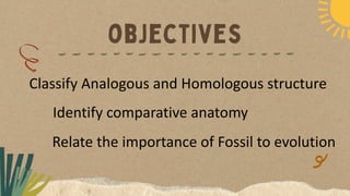 comparative anatomy under melcs in science.pptx | Biological Sciences ...