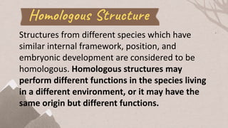 comparative anatomy under melcs in science.pptx