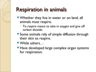 Comparative anatomy respiratory system | PPT