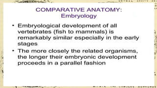 Comparative Anatomy and Embryology.pptx