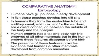 Comparative Anatomy and Embryology.pptx