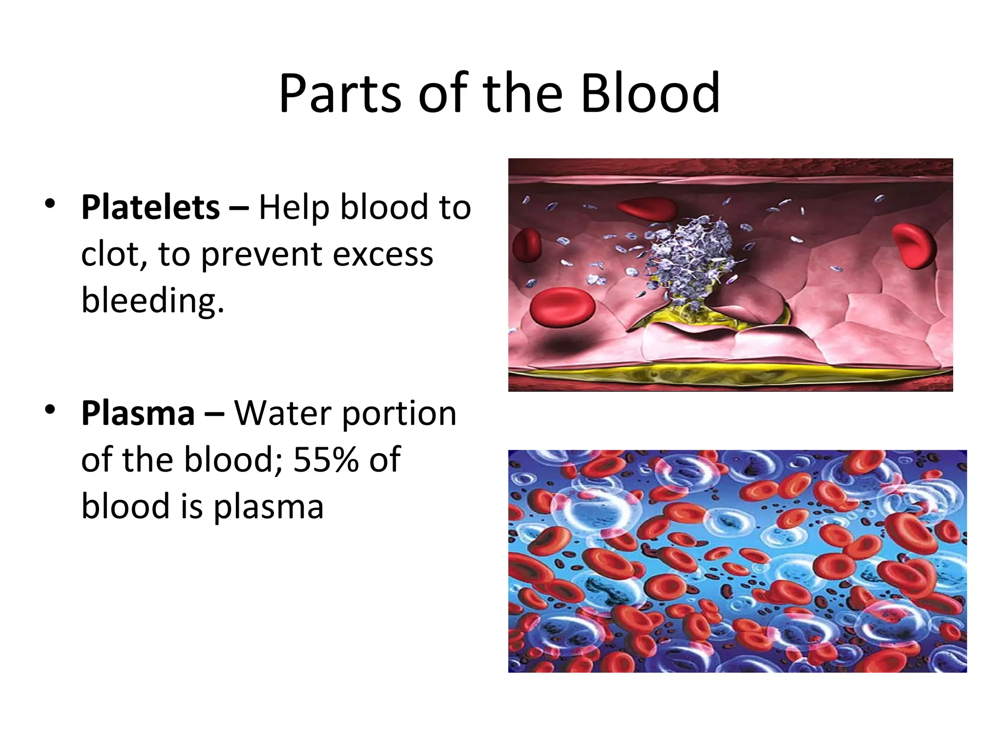 Comparative anatomy circulatory system | PPT