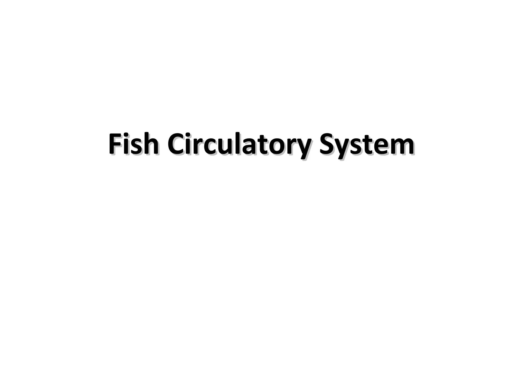 Comparative anatomy circulatory system | PPT