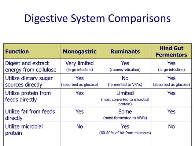 Comparative anatomy digestive system | PPTX | Digestive Disorders ...