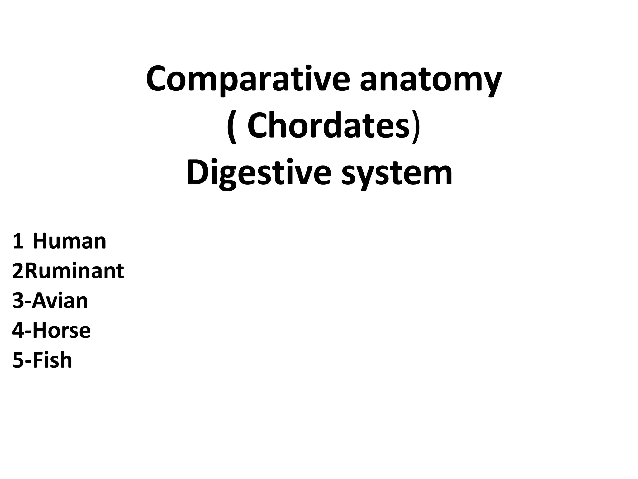 comparative anatomy digestive system.pptx