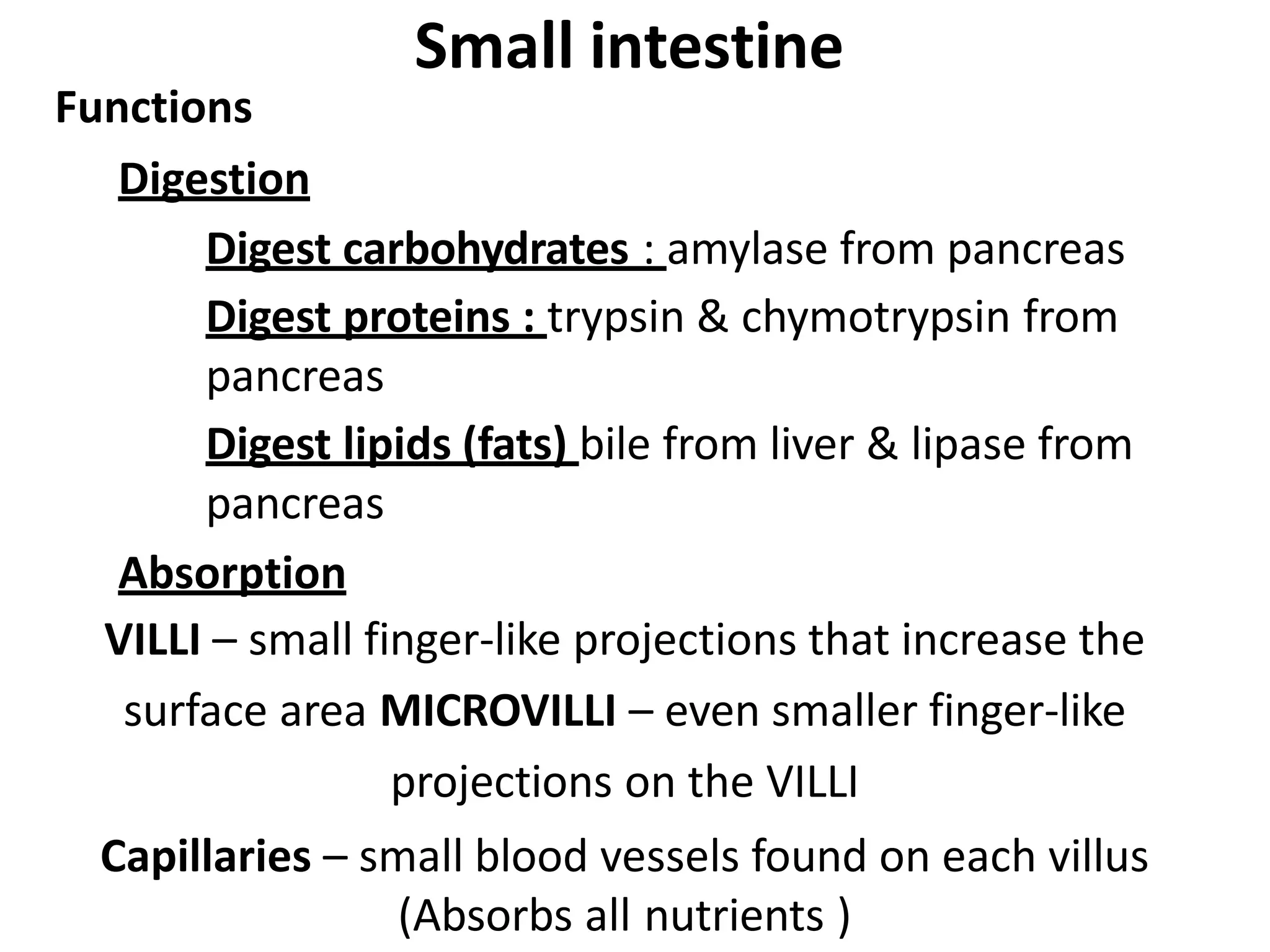 comparative anatomy digestive system.pptx