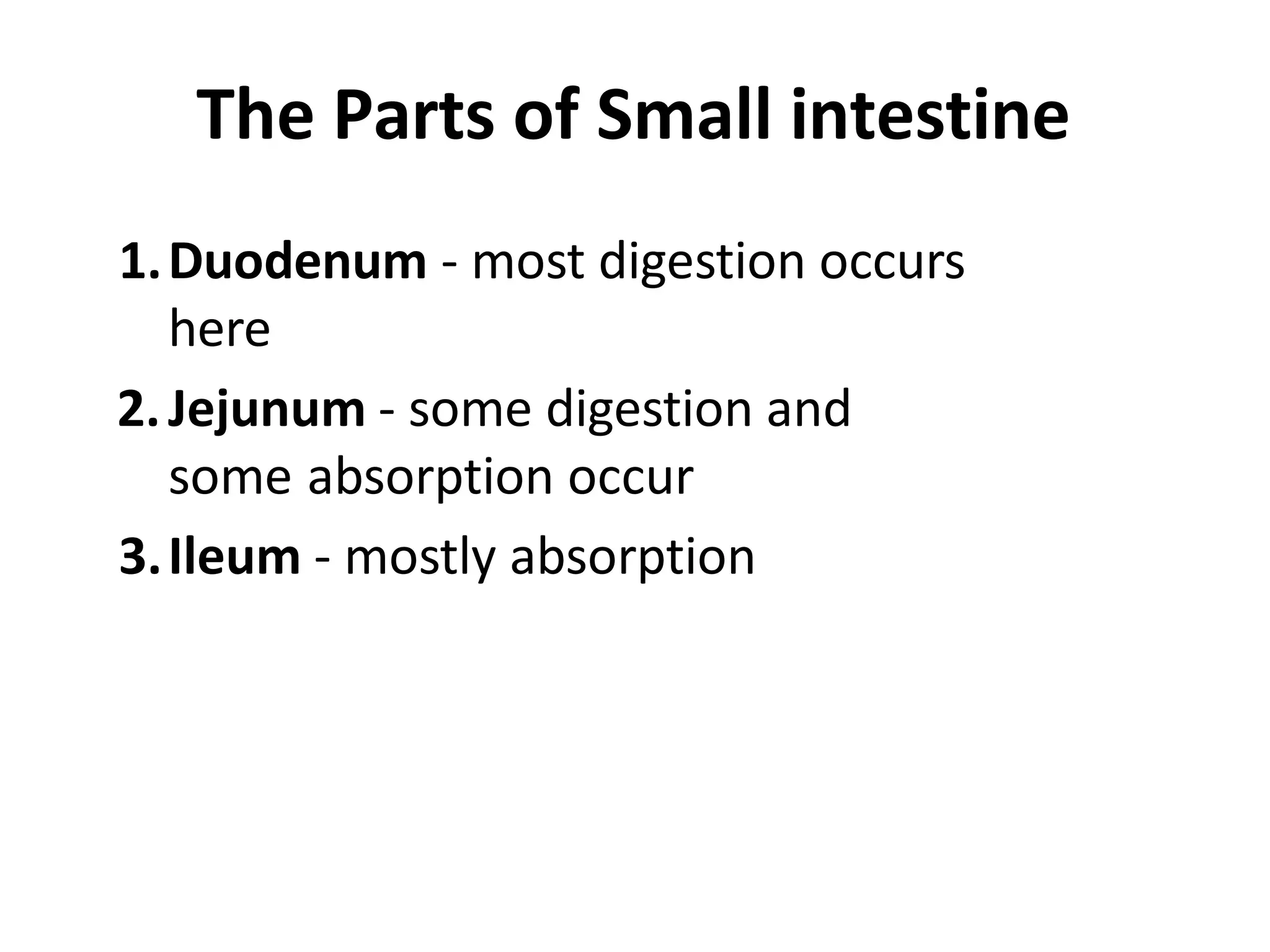comparative anatomy digestive system.pptx