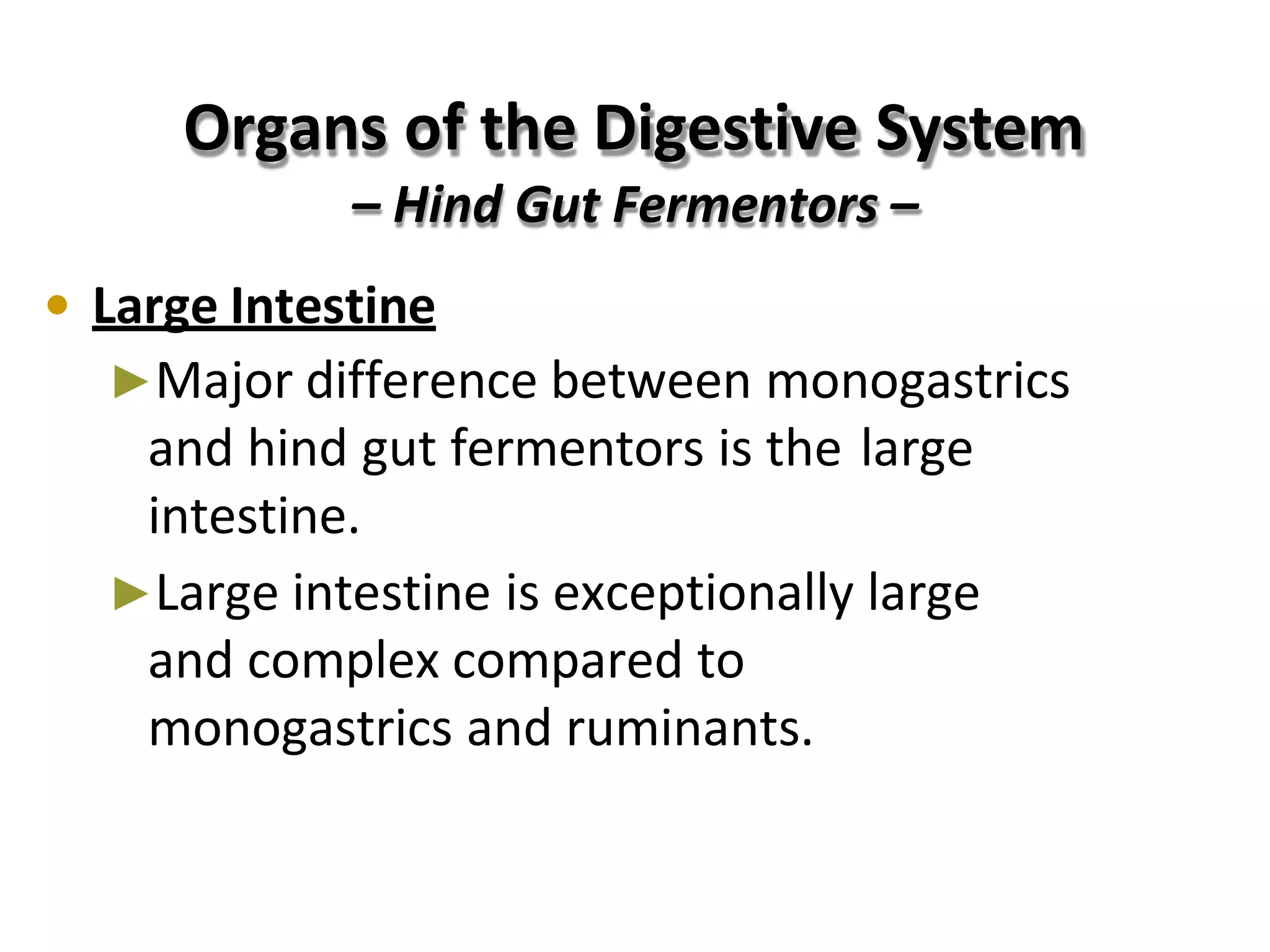 comparative anatomy digestive system.pptx