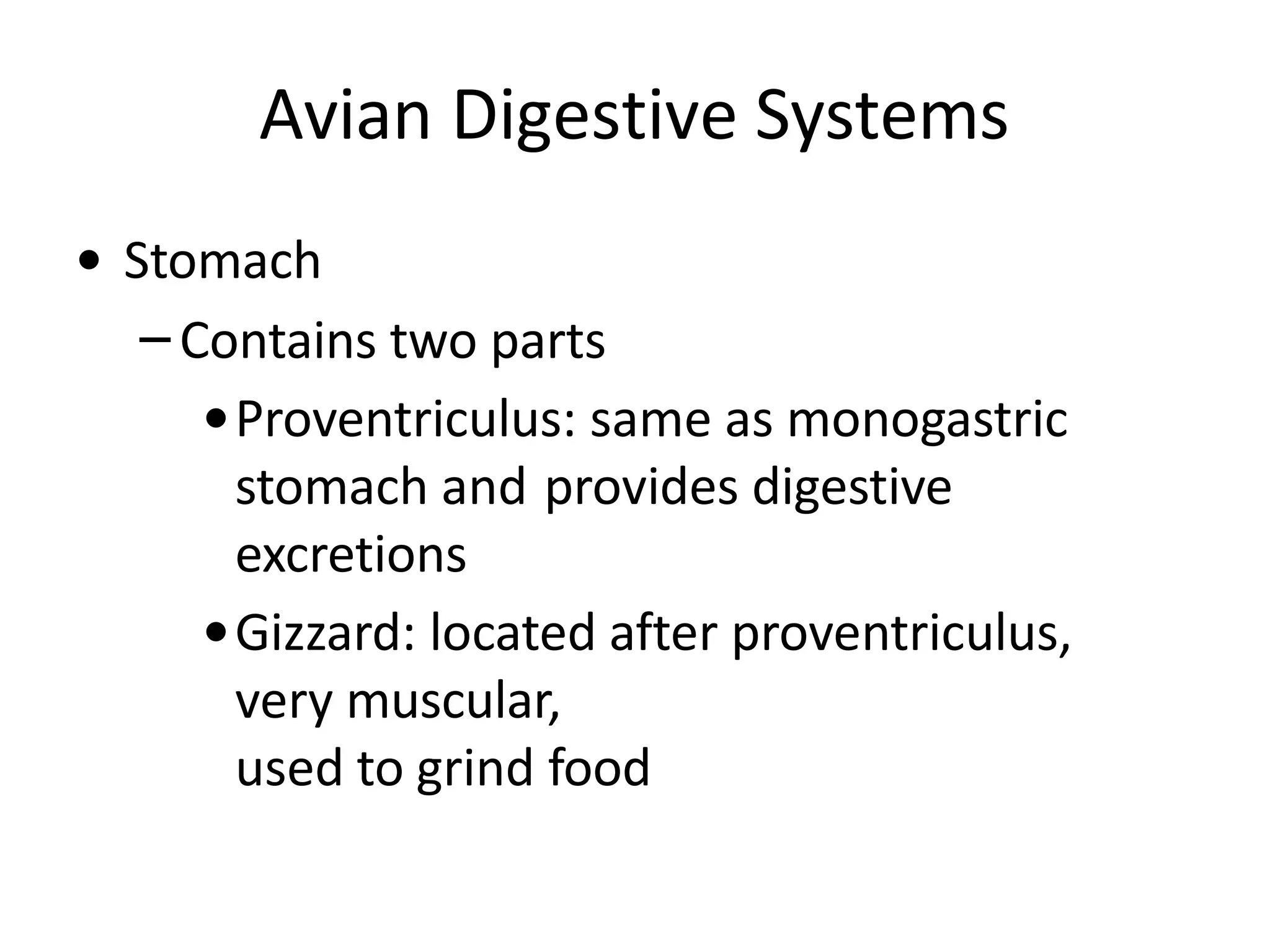 comparative anatomy digestive system.pptx