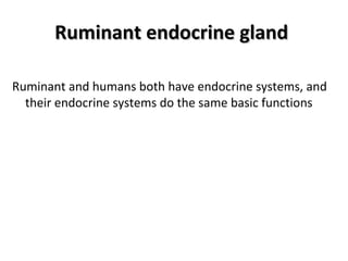 Comparative anatomy endocrine system | PPT