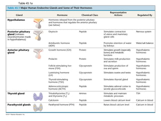 Endocrine System Table