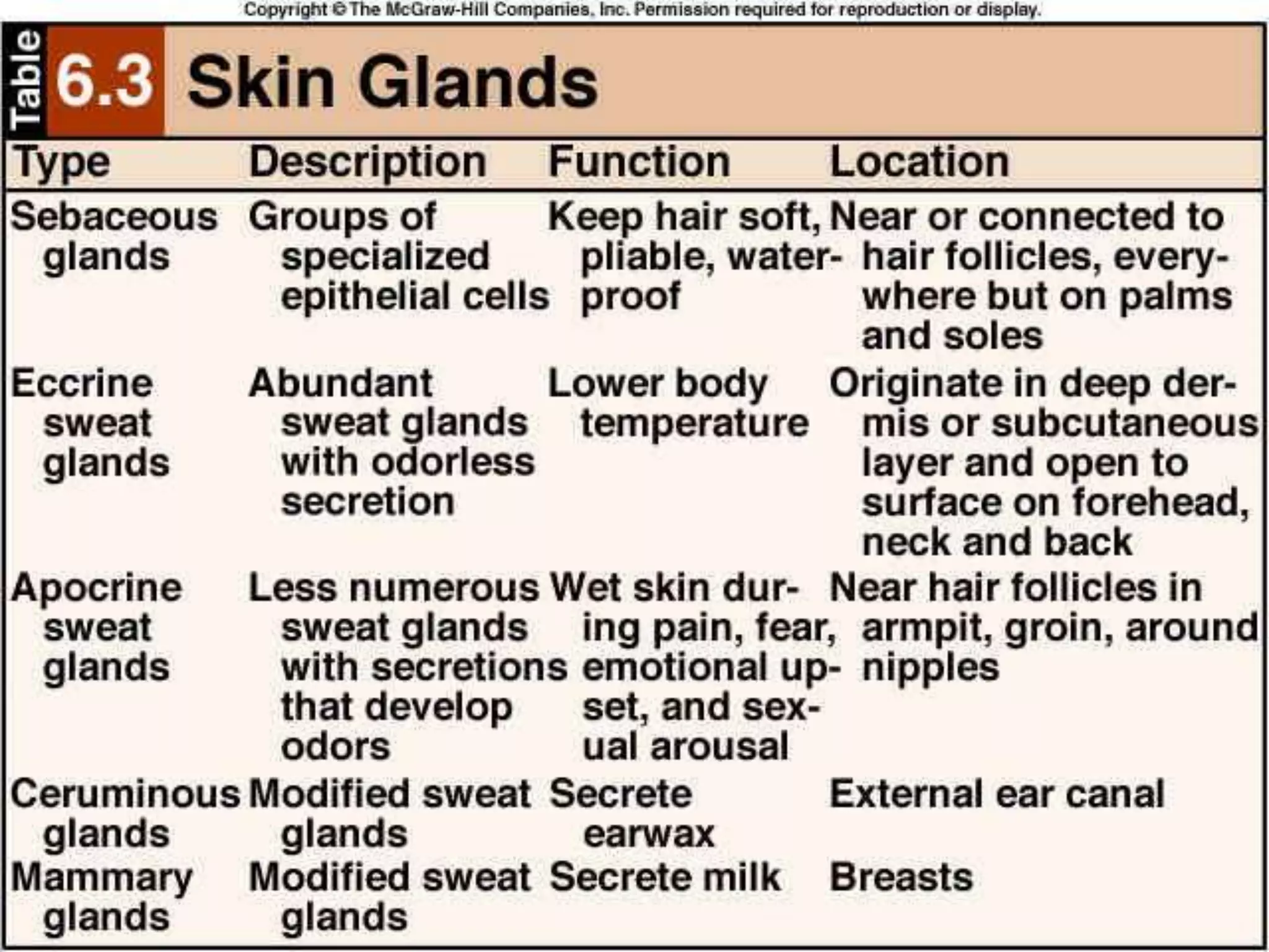 Comparative anatomy integumentary system | PPTX