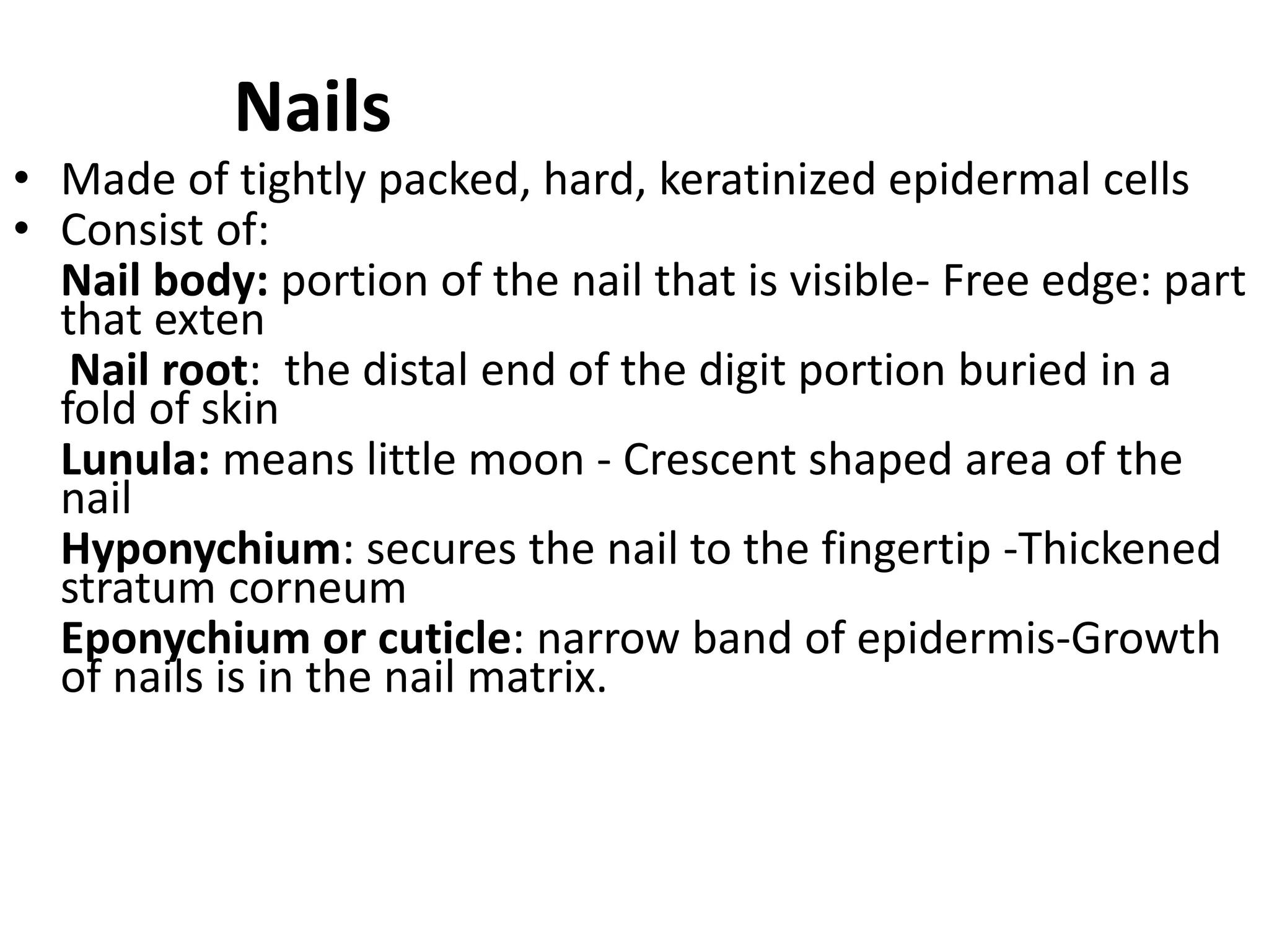 Comparative anatomy integumentary system | PPTX