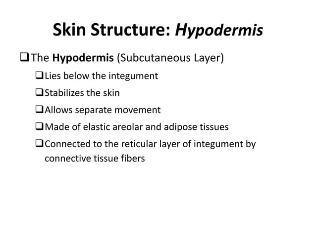 Comparative Anatomy Integumentary System Pptx