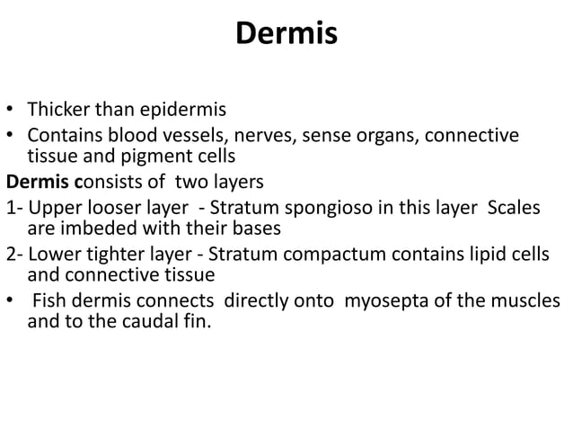 Comparative anatomy integumentary system | PPTX