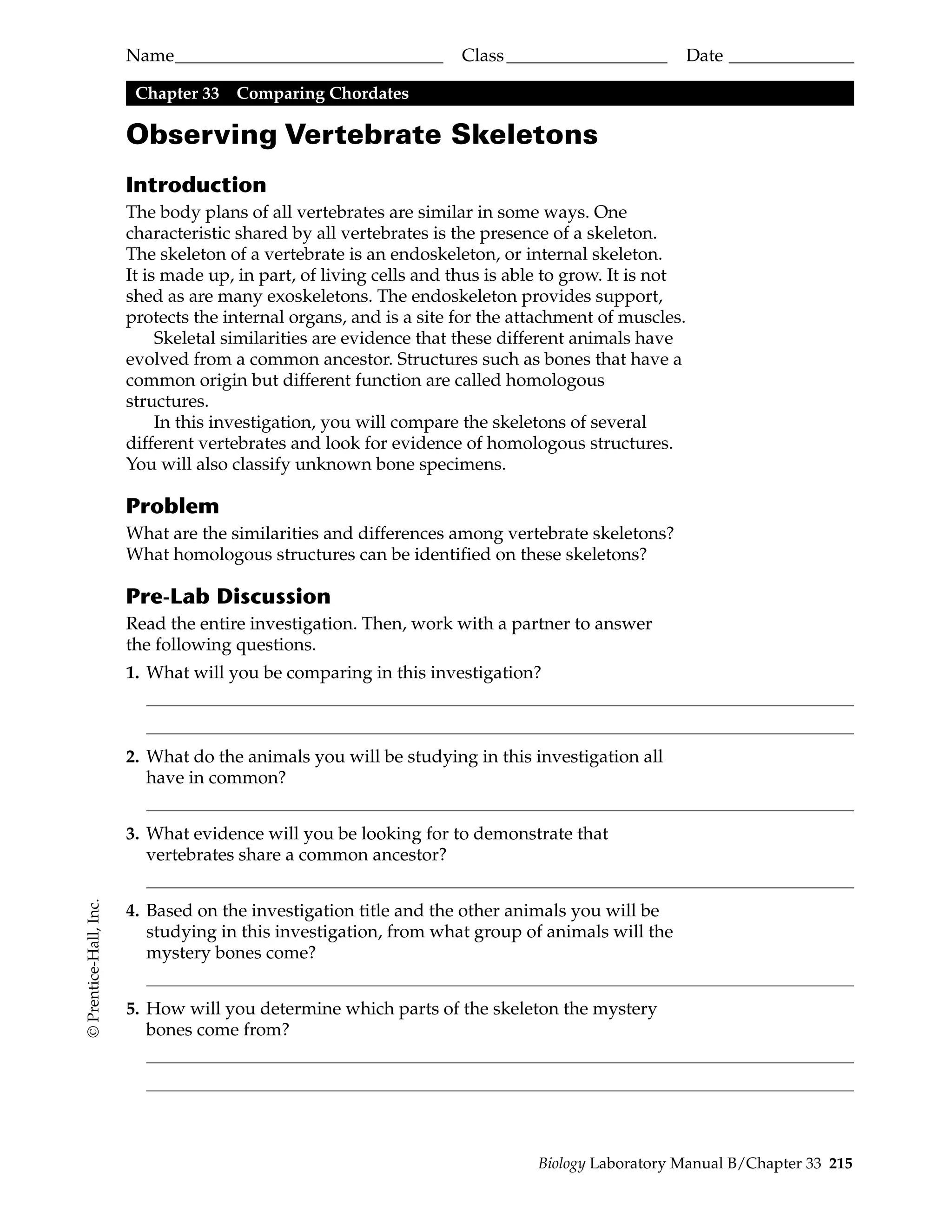 Comparative Anatomy Written Lab Bones | PDF