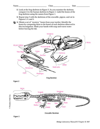 Comparative anatomy lab bones Answers | PDF