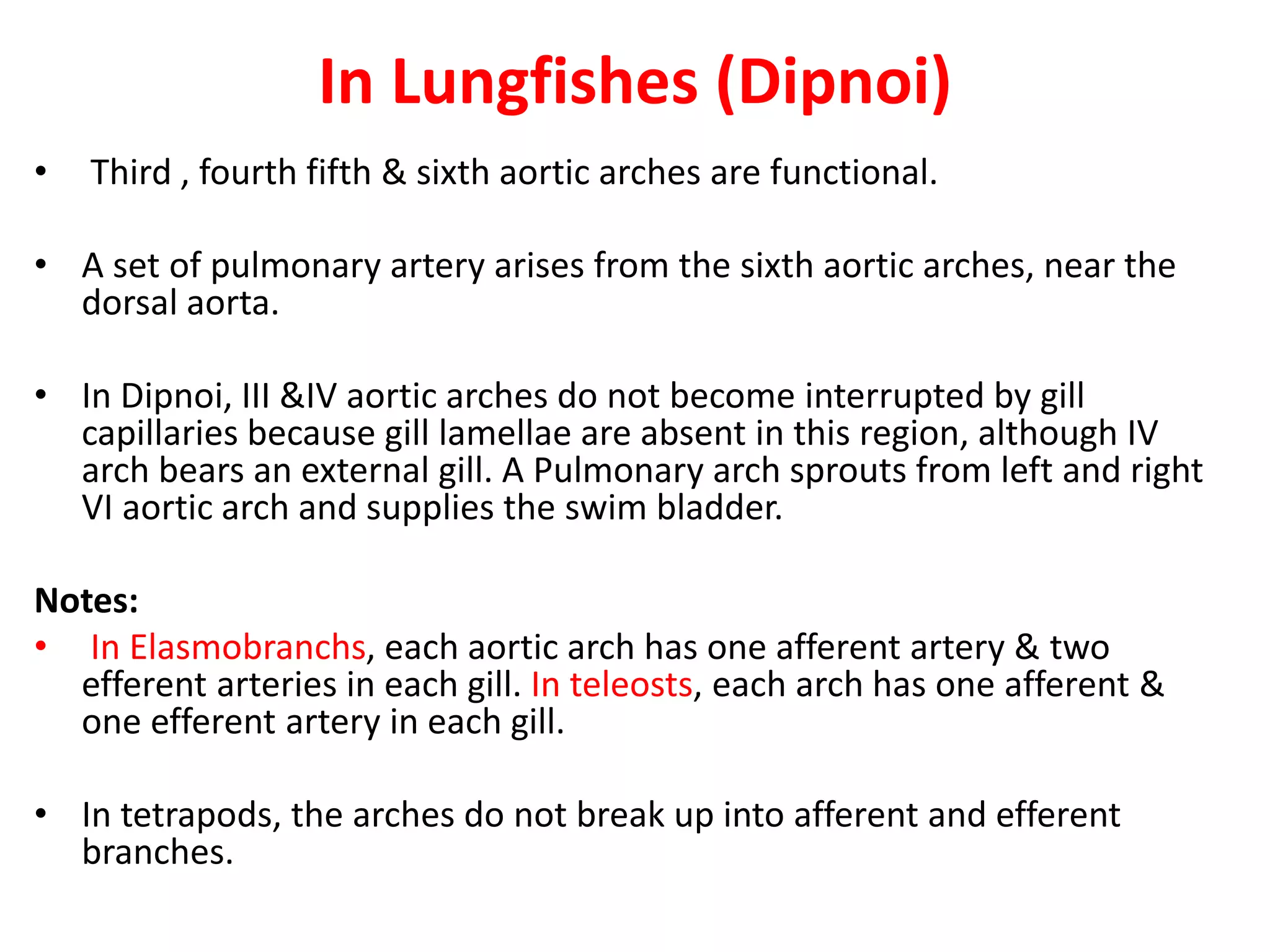Comparative anatomy of aortic arches | PDF