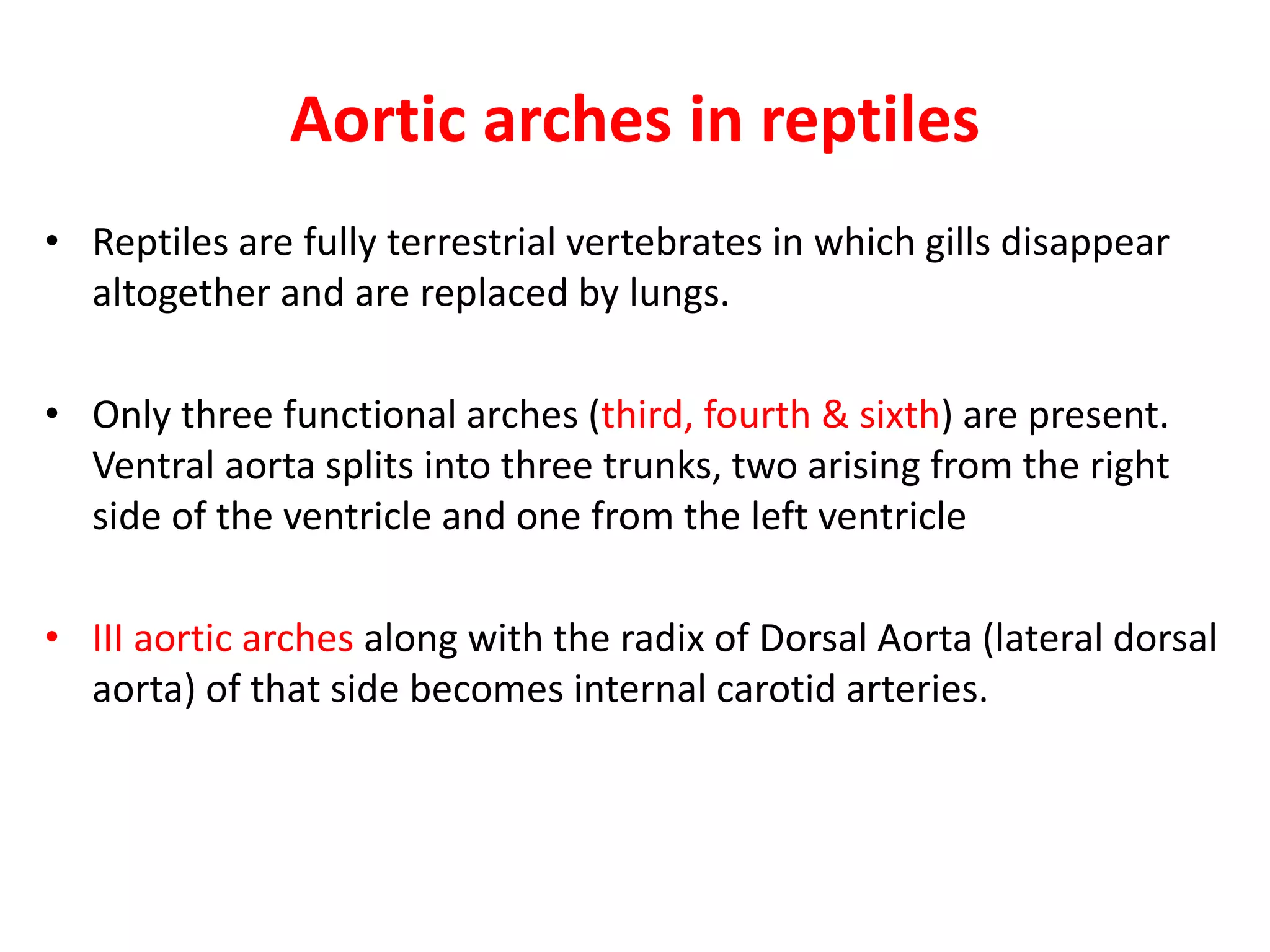 Comparative anatomy of aortic arches | PDF