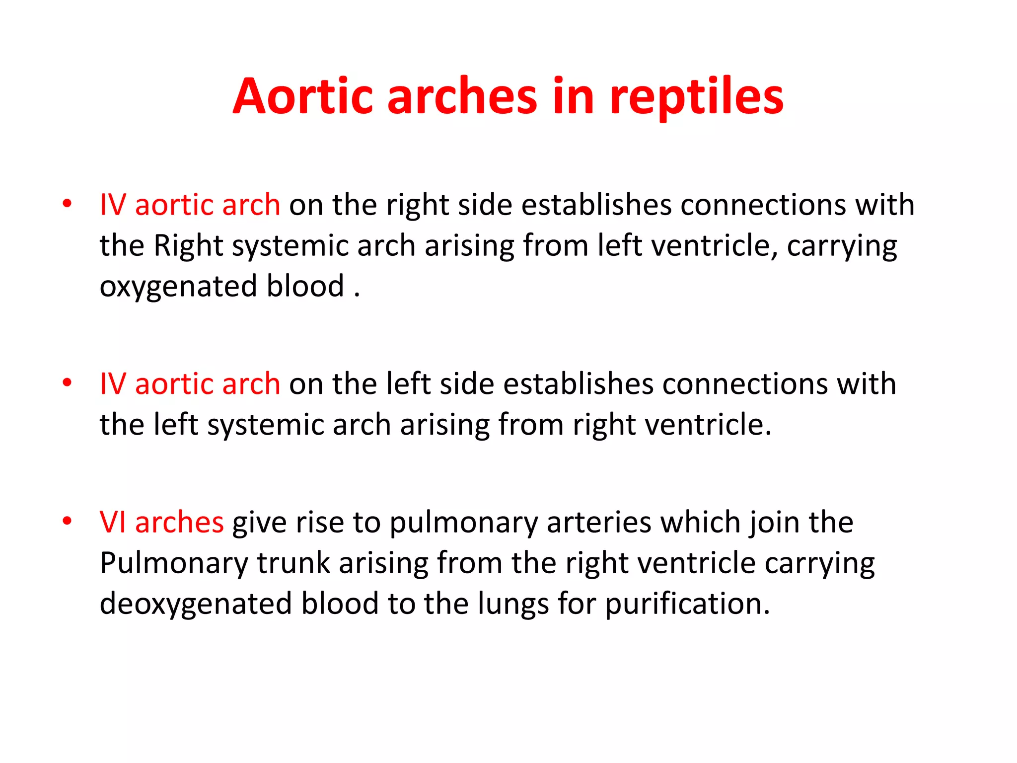 Comparative anatomy of aortic arches | PDF