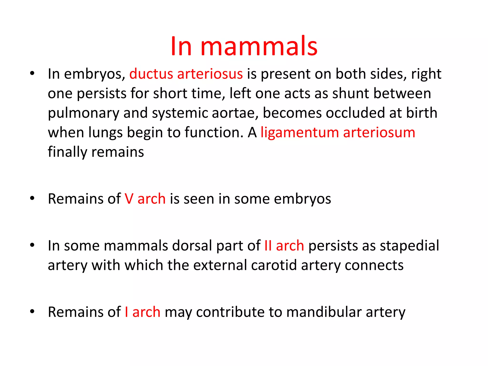 Comparative anatomy of aortic arches | PDF