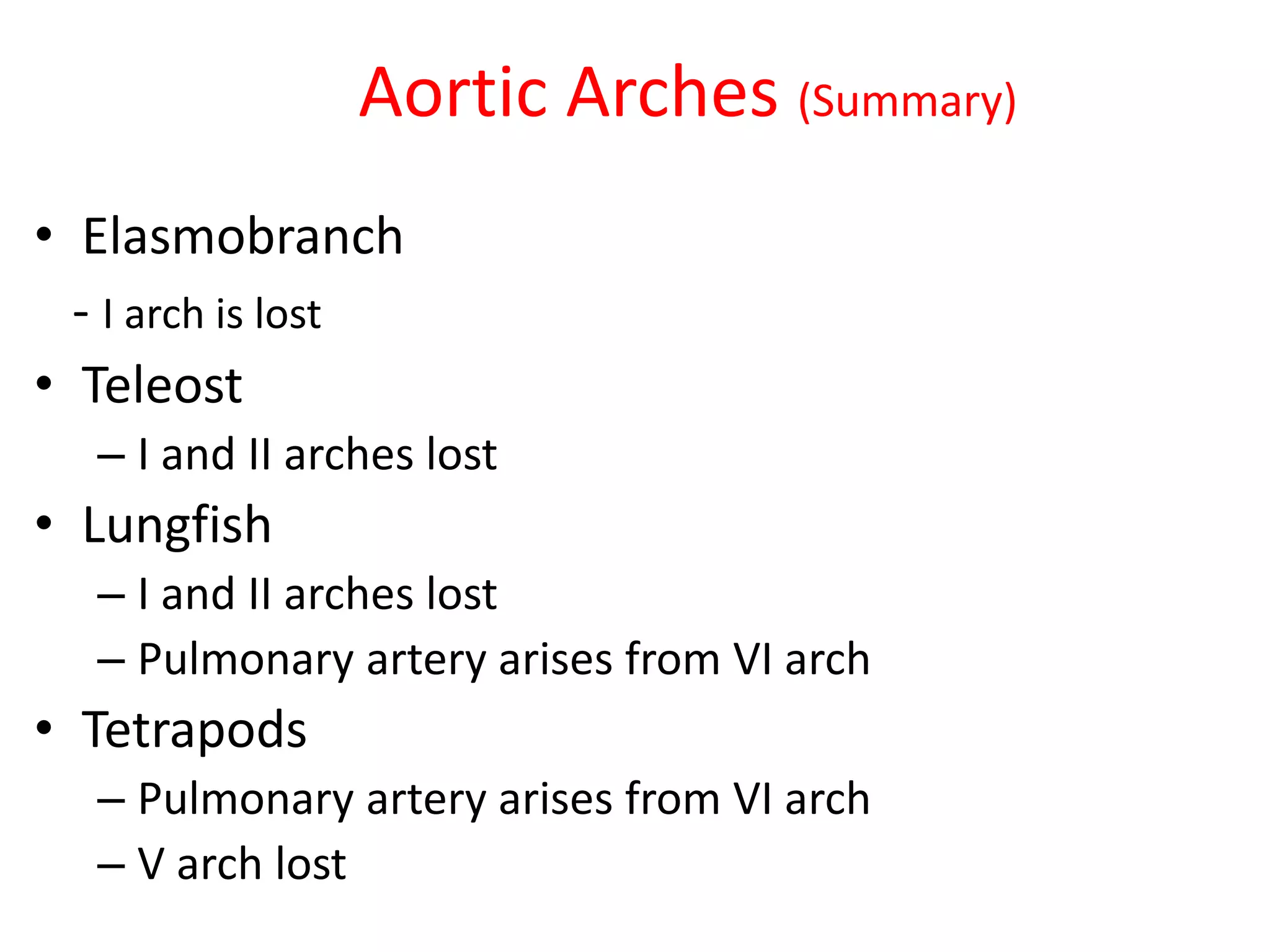 Comparative anatomy of aortic arches | PDF