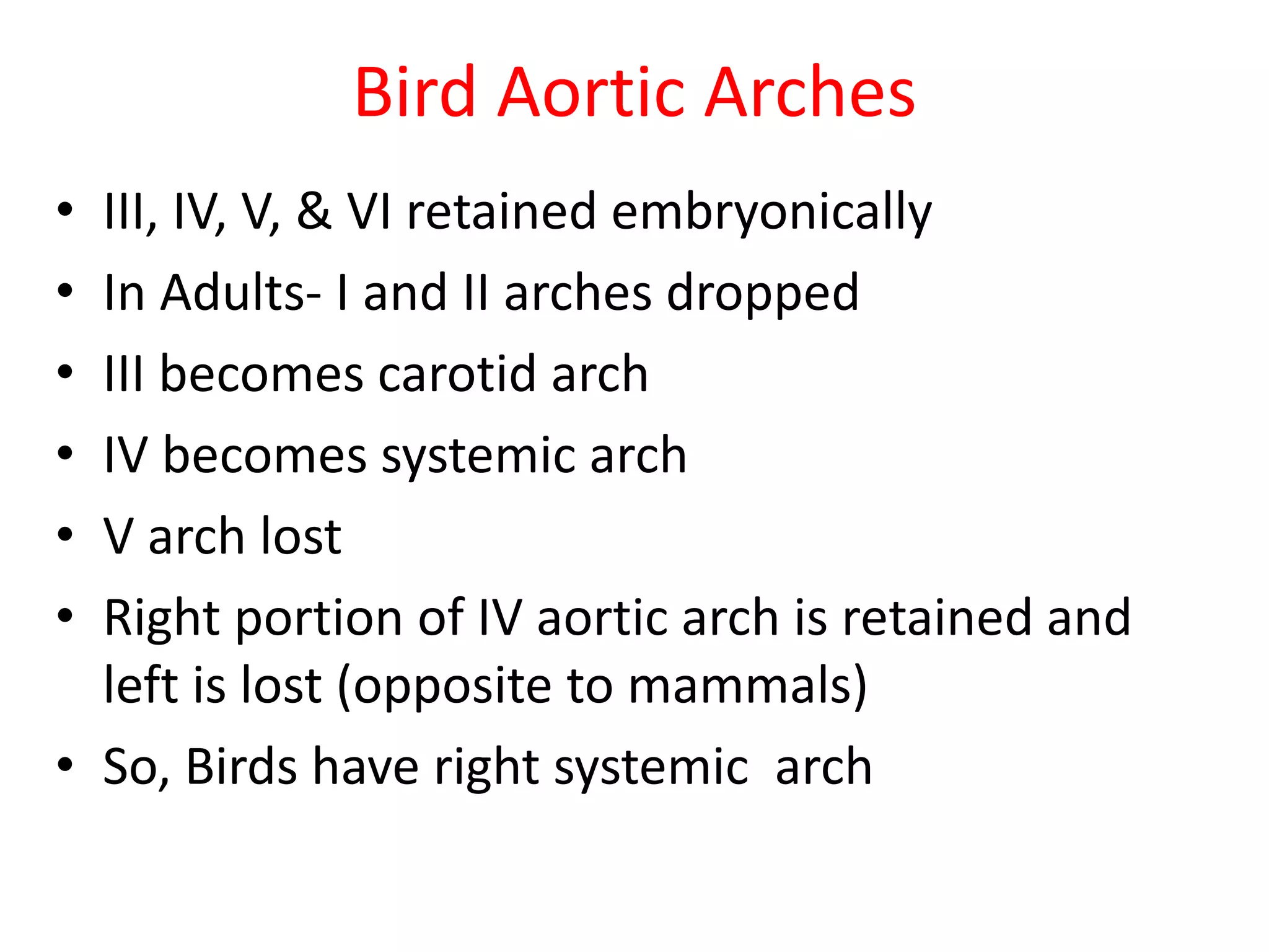Comparative anatomy of aortic arches | PDF