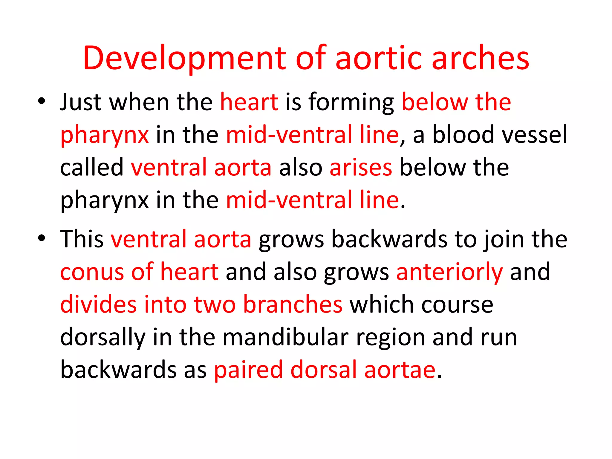 Comparative anatomy of aortic arches | PDF